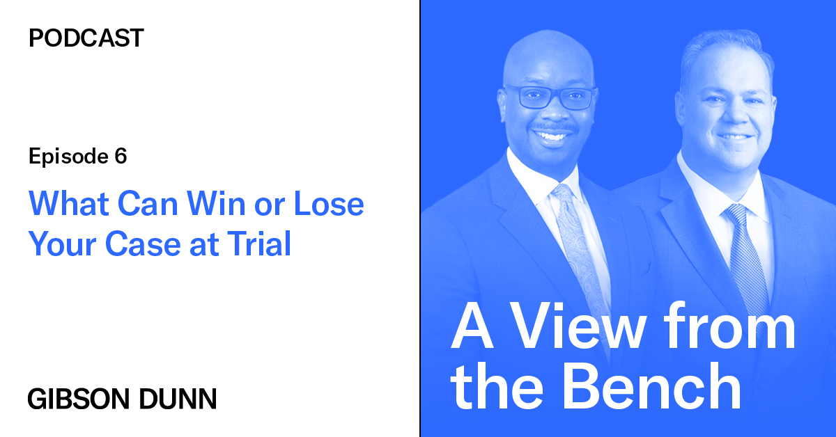 A View from the Bench - Episode 6 - What Can Win or Lose Your Case at ...