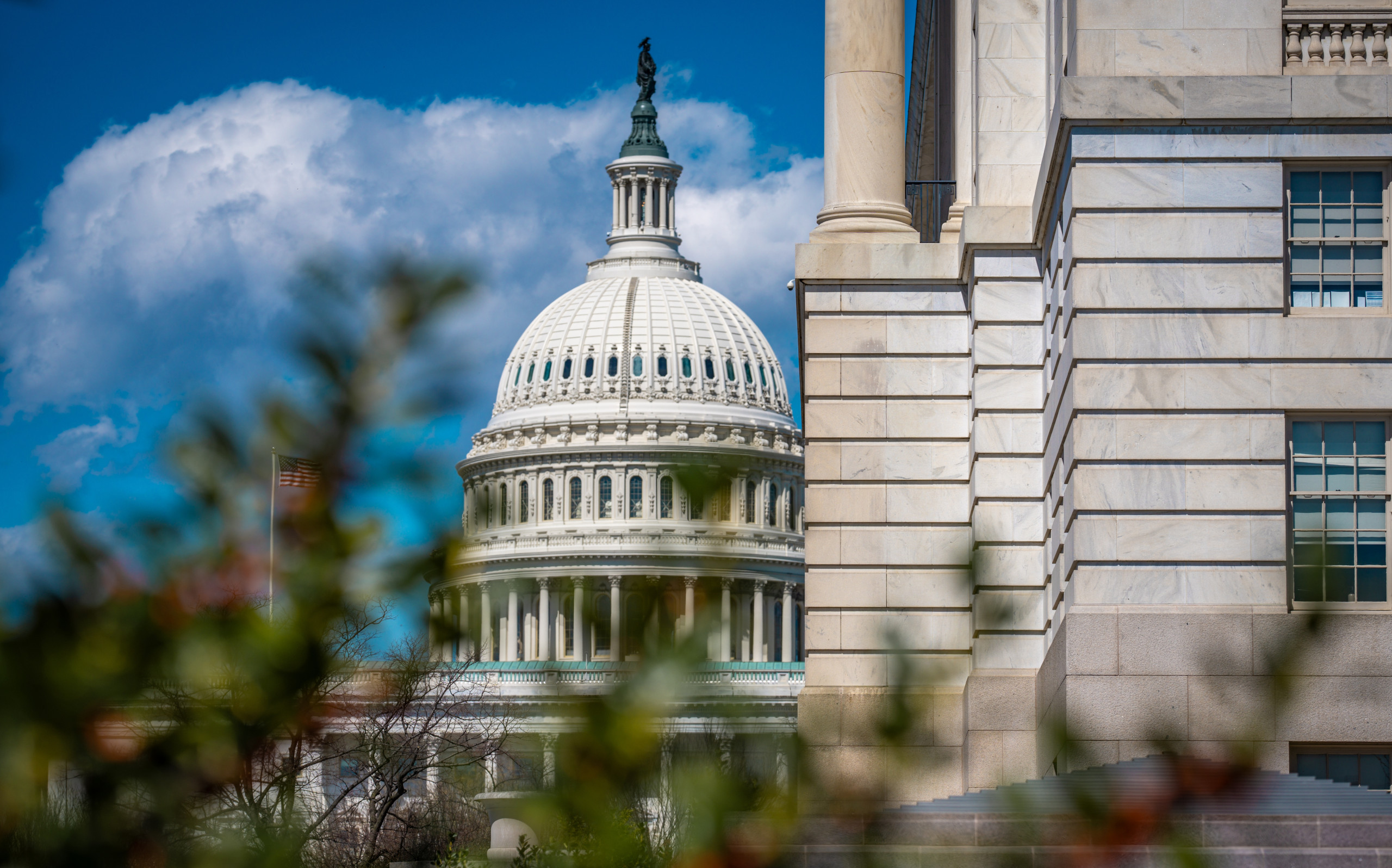 The Power to Investigate – Table of Authorities of House & Senate 119th ...